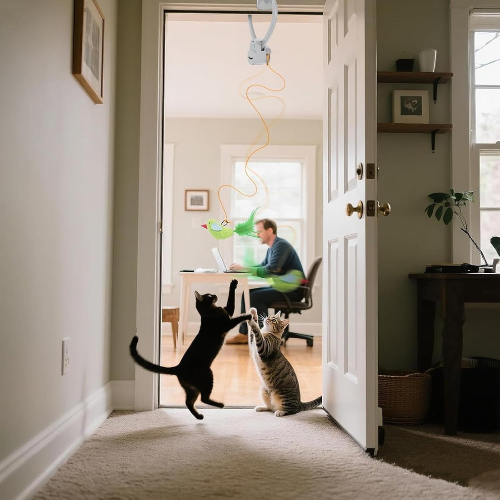 Interactive Door Hanging Flying Bird Cat Toy – Pawsome Planet